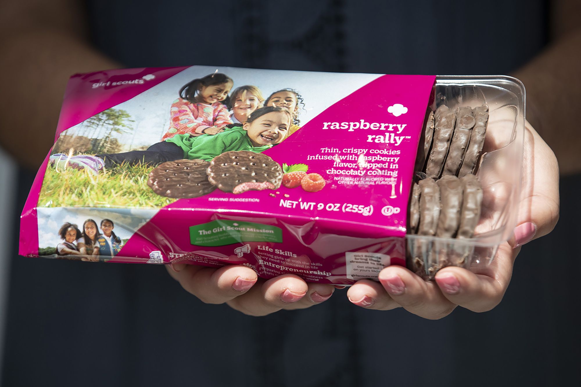 The Great Girl Scout Cookie Crisis - Allen R Smith